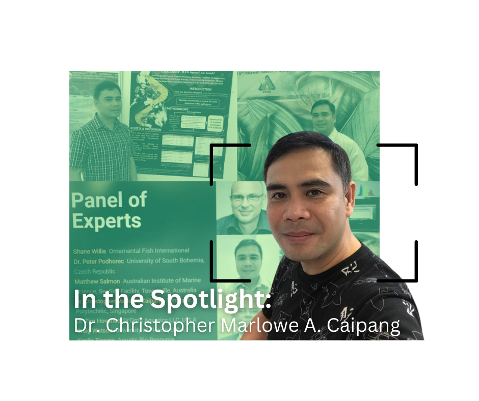 Assoc. Prof. Christopher Marlowe Caipang, PhD, Division of Biological ...